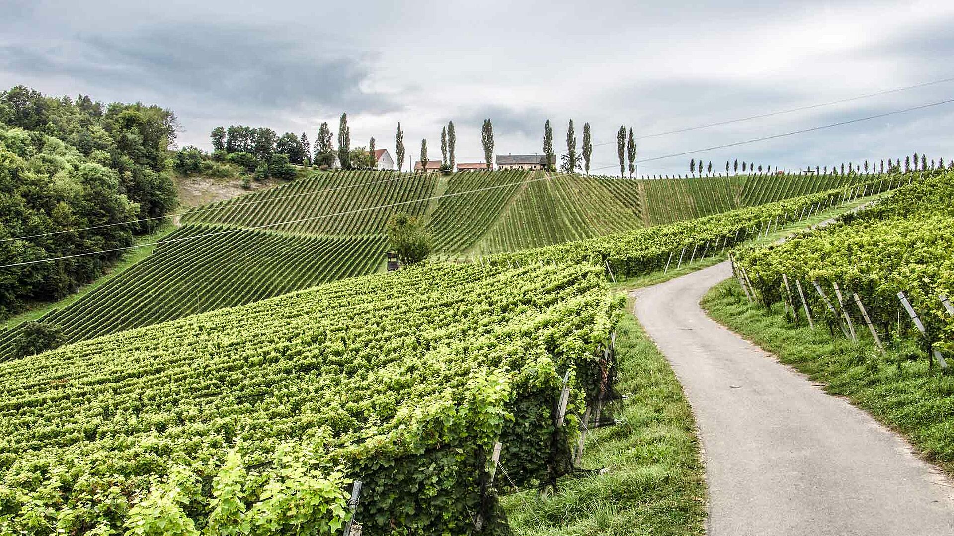 Weingut Tement - Lobenbergs Gute Weine