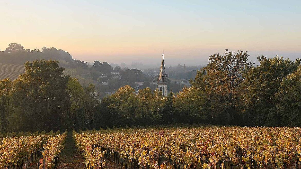 Fronsac Wein kaufen - Lobenbergs Gute Weine