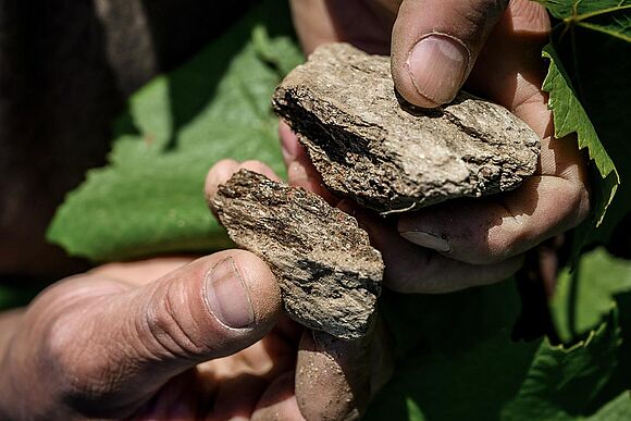 Landron Chartier - Lobenbergs Gute Weine