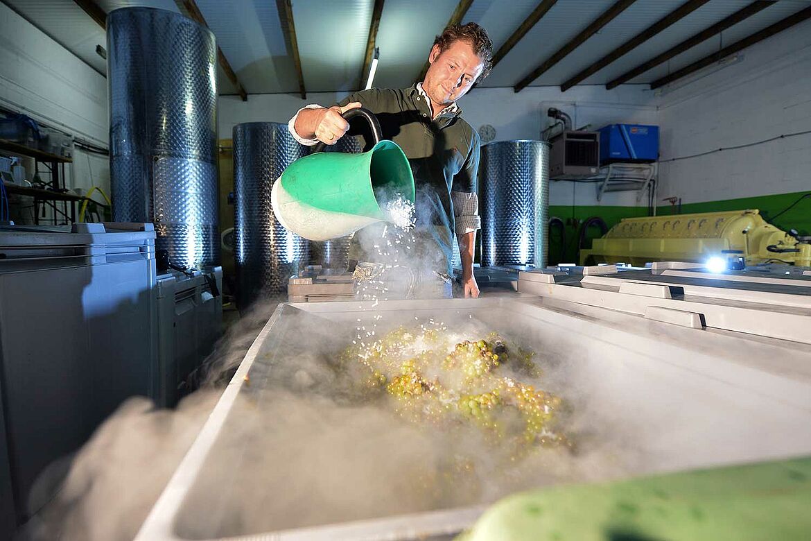 Weingut Schätzel - Lobenbergs Gute Weine