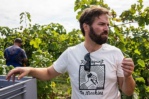 Weingut Weninger - Lobenbergs Gute Weine