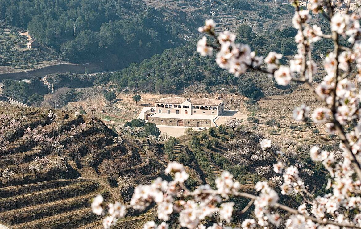 Bodegas Mas Alta - Lobenbergs Gute Weine