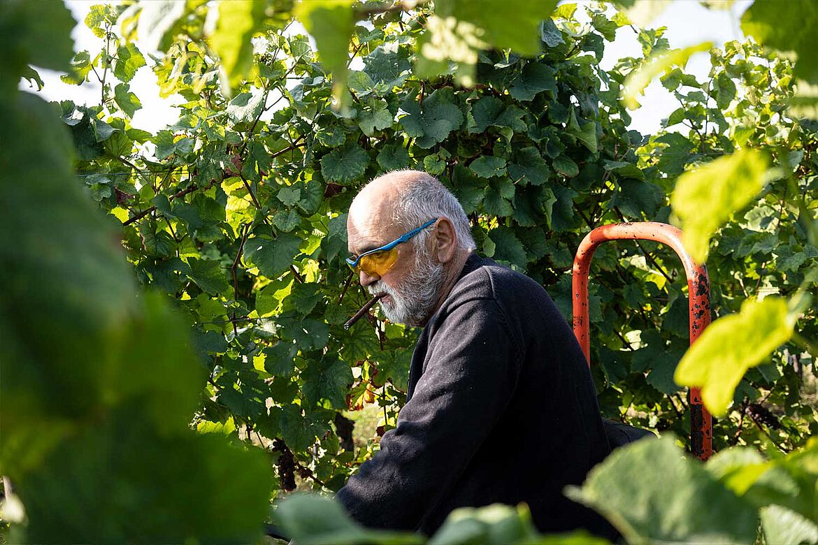 Friedrich Becker - Lobenbergs Gute Weine