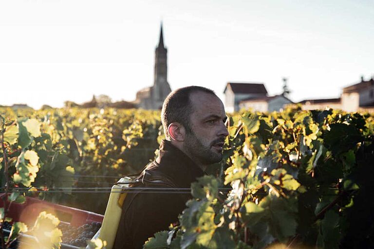 Pomerol Wein - Lobenbergs Gute Weine