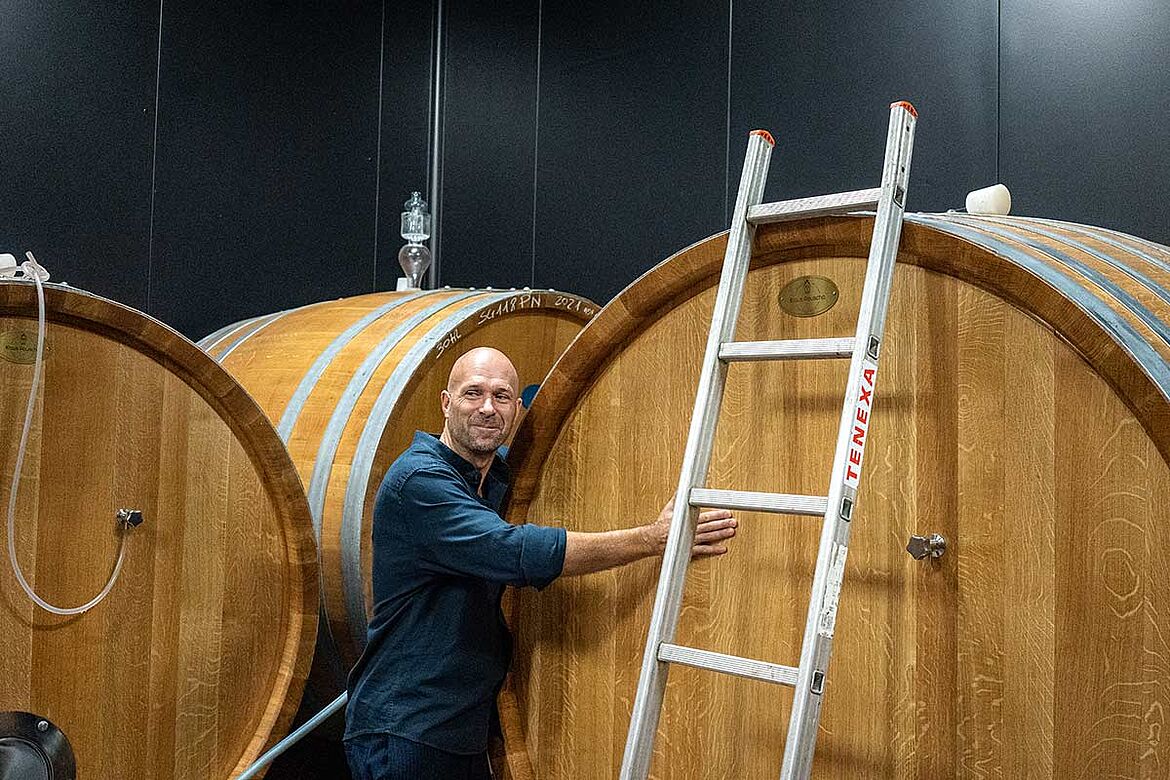 Villa Saletta: Saletta Giulia 2019 - Lobenbergs Gute Weine