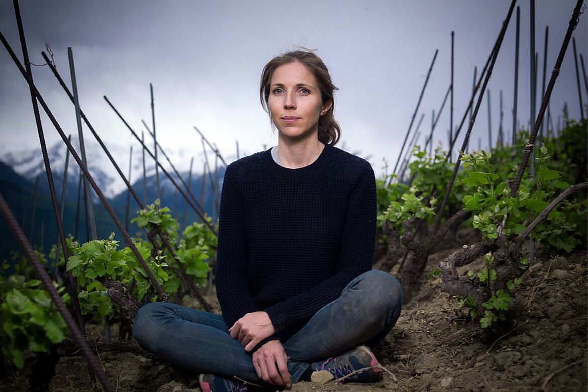 Domaine de la Chapelle - Jaboulet Aine: Hermitage La Chapelle 2021 ...