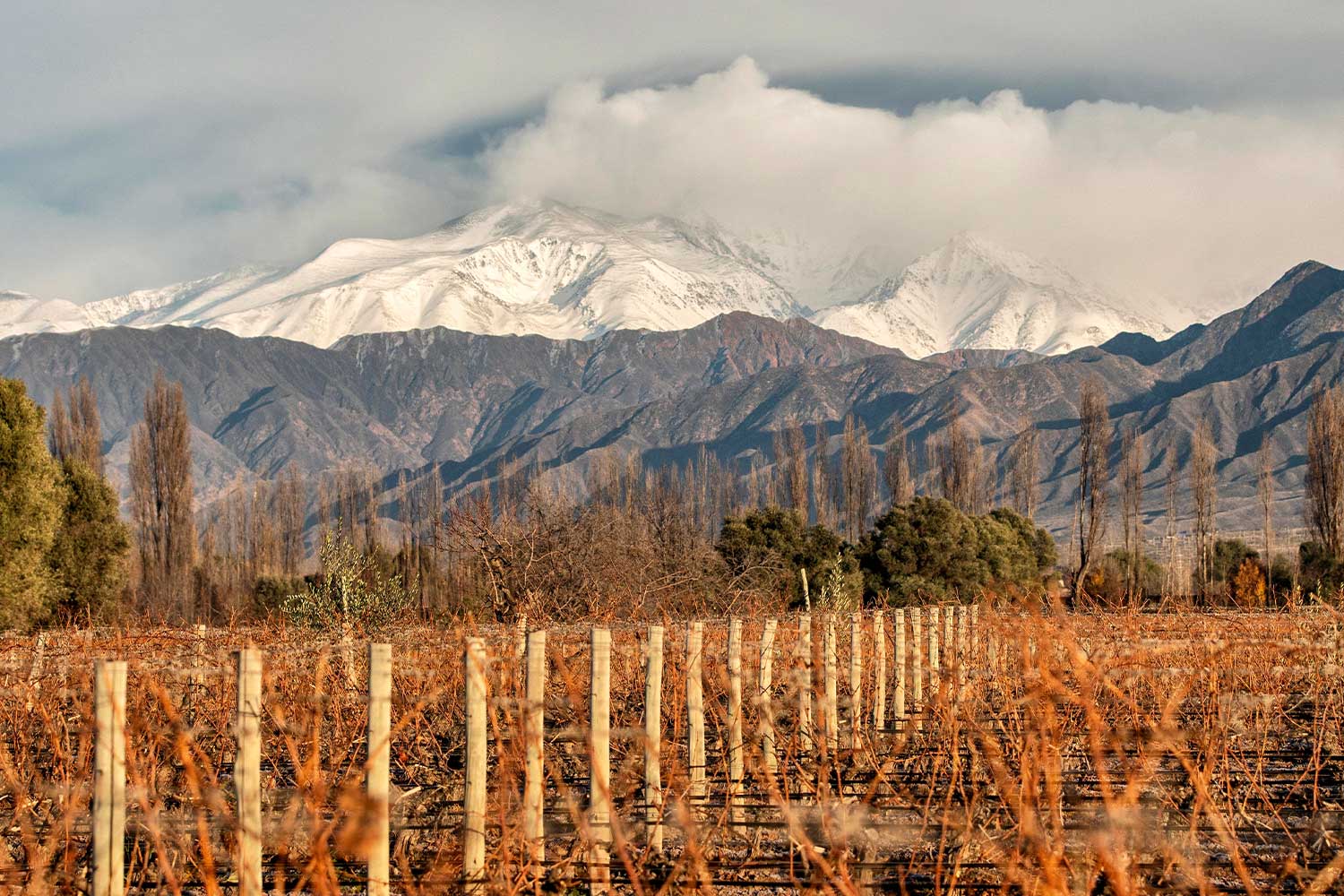 Cheval des Andes - Lobenbergs Gute Weine