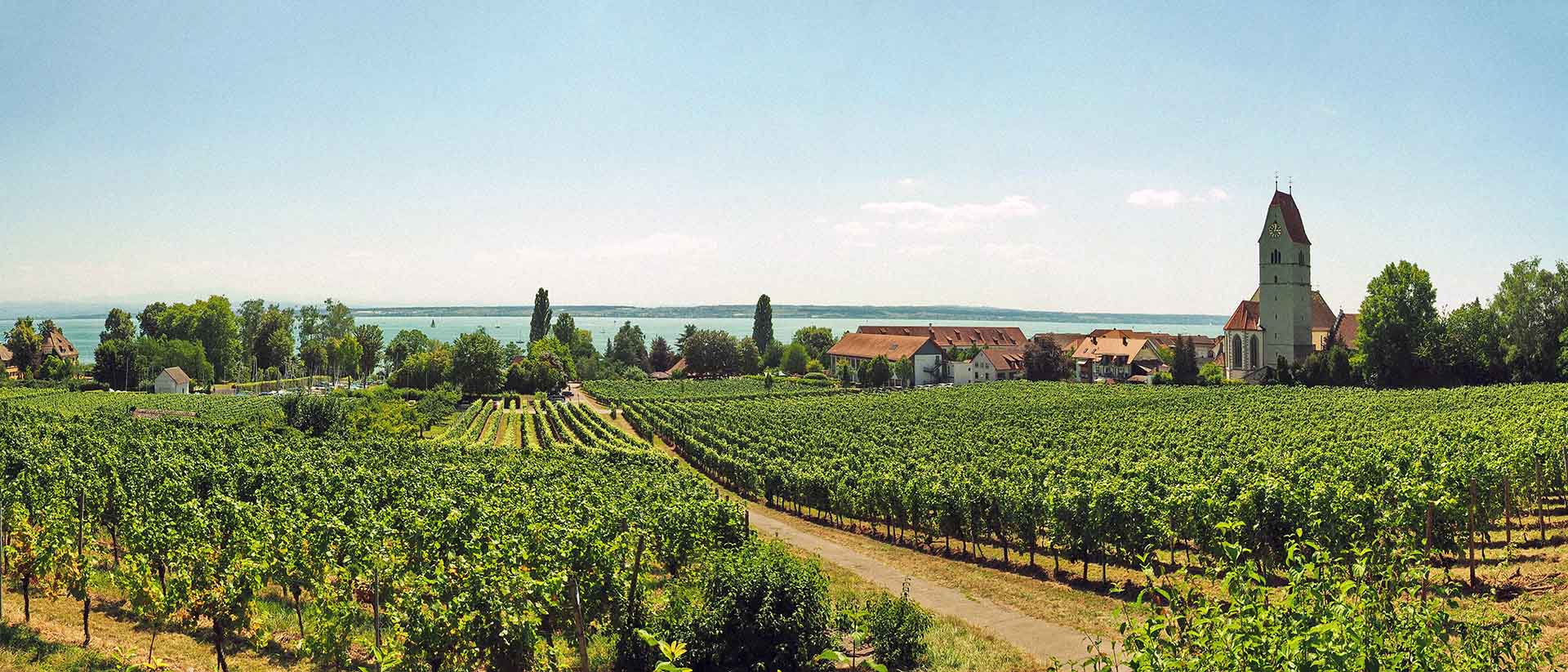 Badischer Wein - Lobenbergs Gute Weine