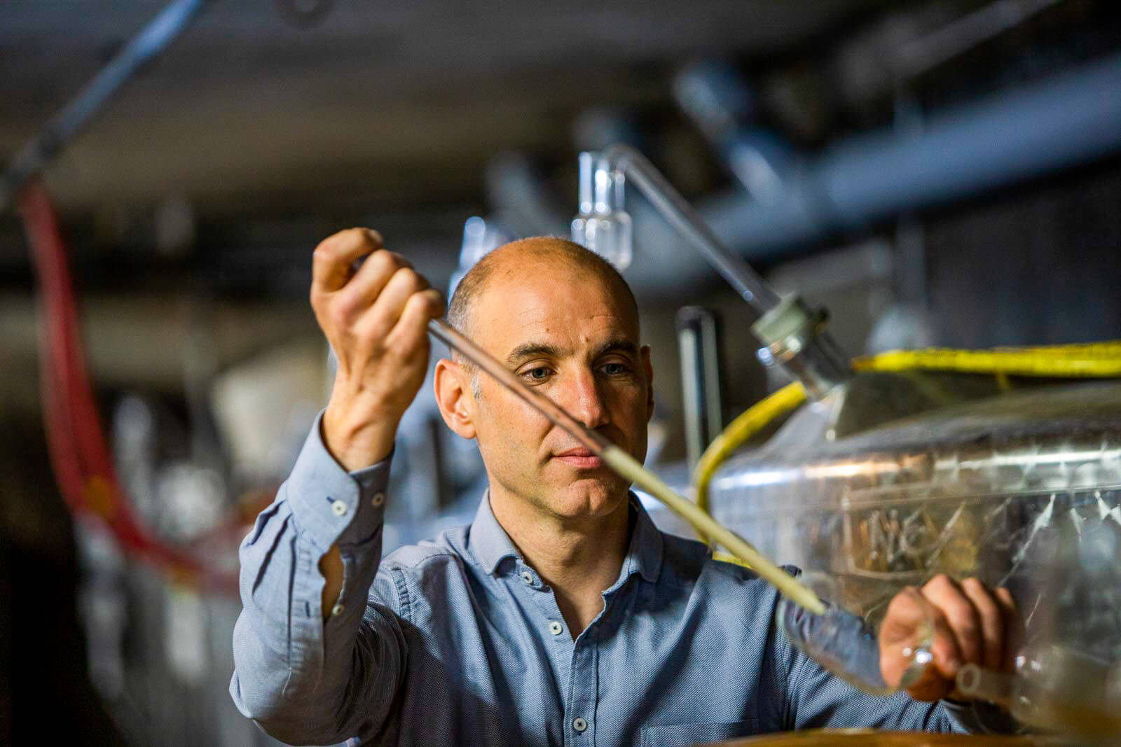 Peter Lauer - Lobenbergs Gute Weine