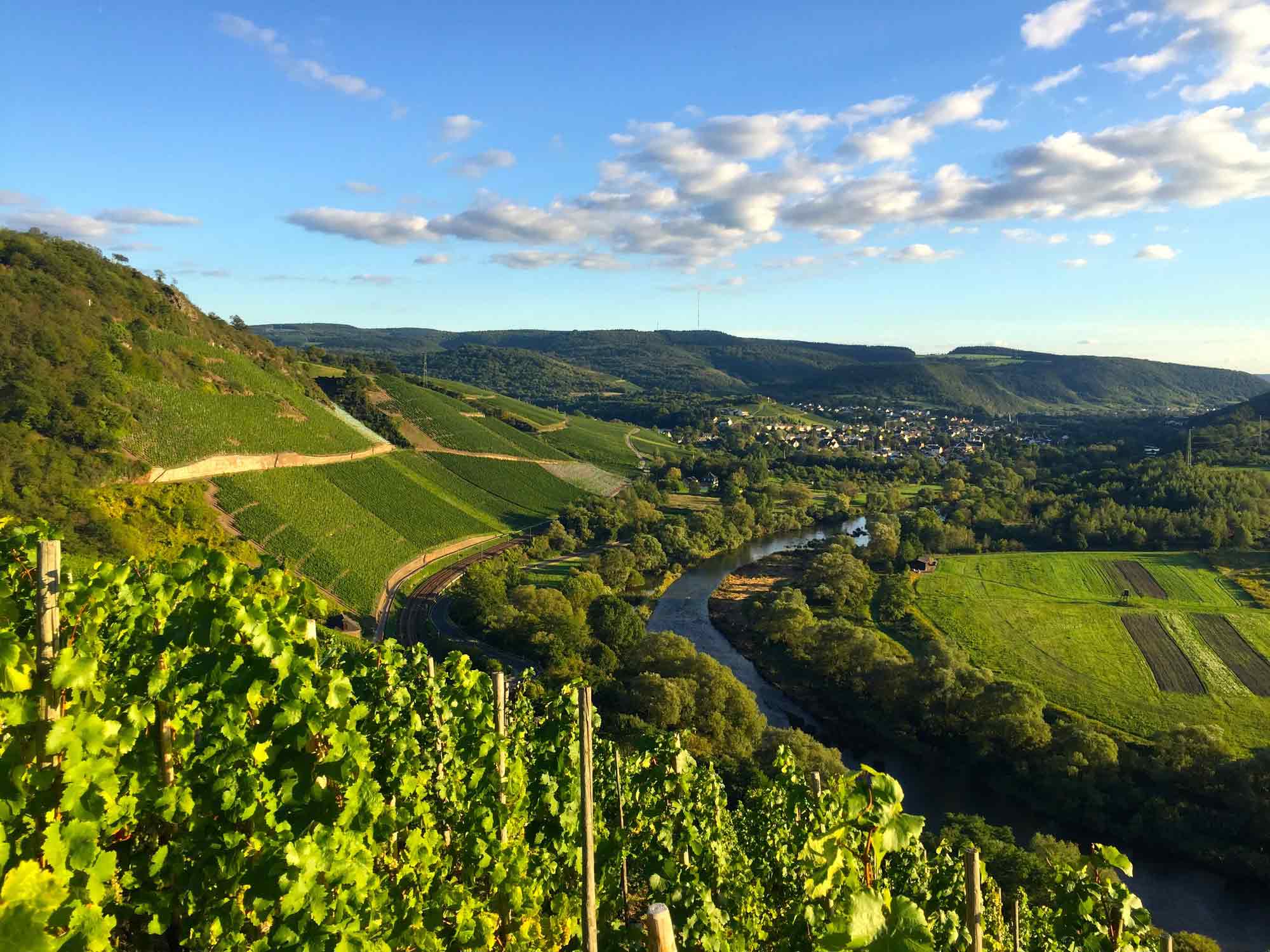 van Volxem - Lobenbergs Gute Weine