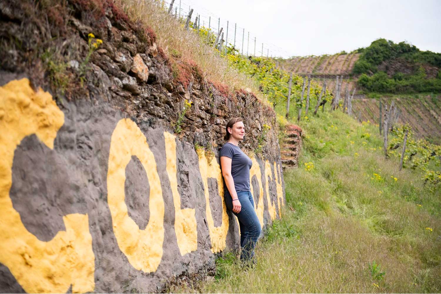 Schlossgut Diel - Lobenbergs Gute Weine Schlossgut Diel - Lobenbergs Gute Weine