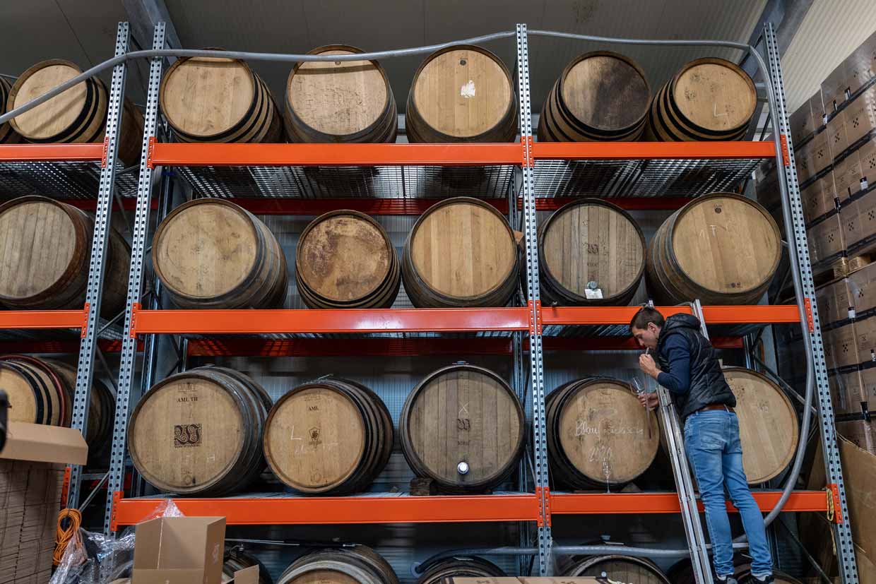 Seckinger - Lobenbergs Gute Weine