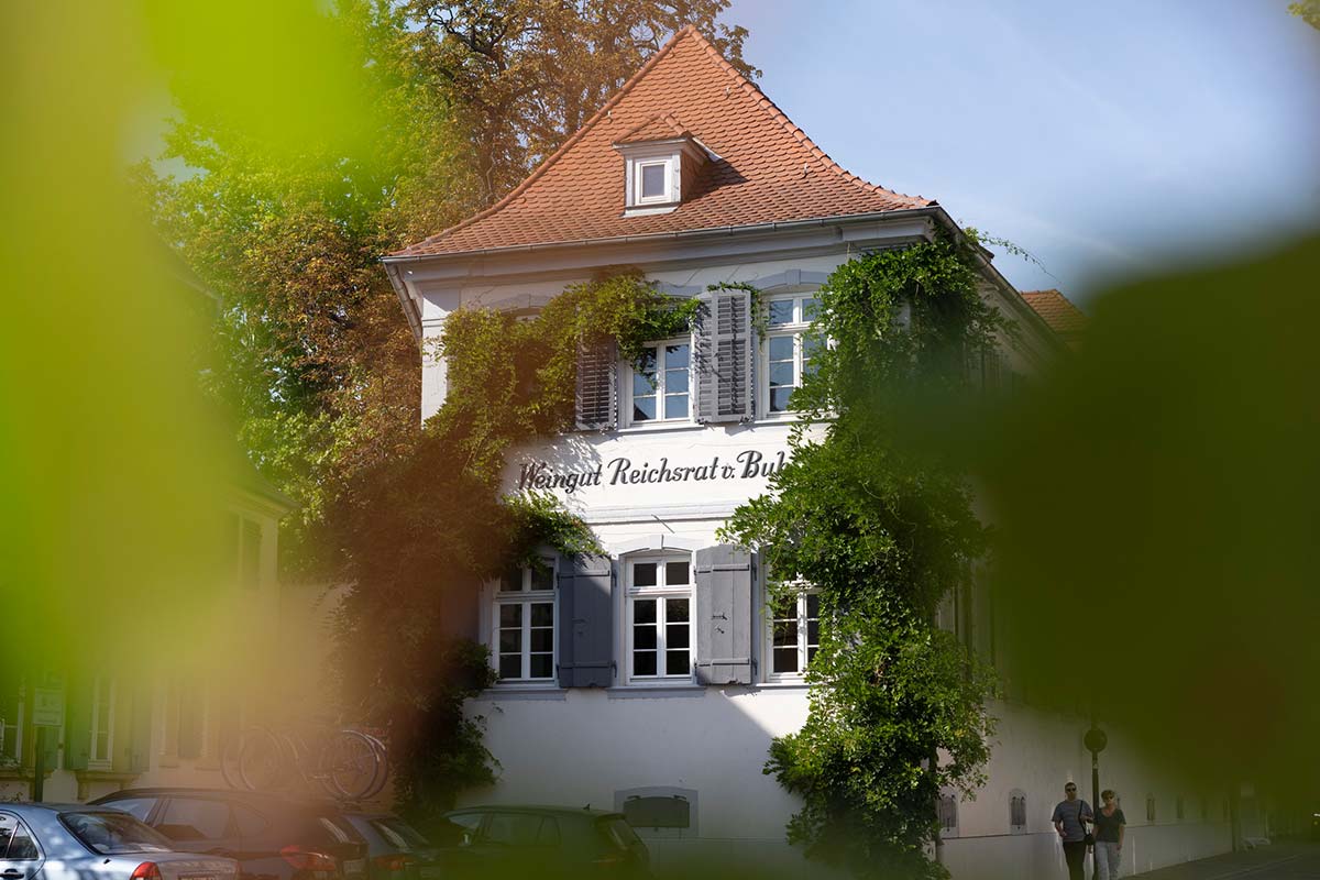 Reichsrat von Buhl Weine - Lobenbergs Gute Weine