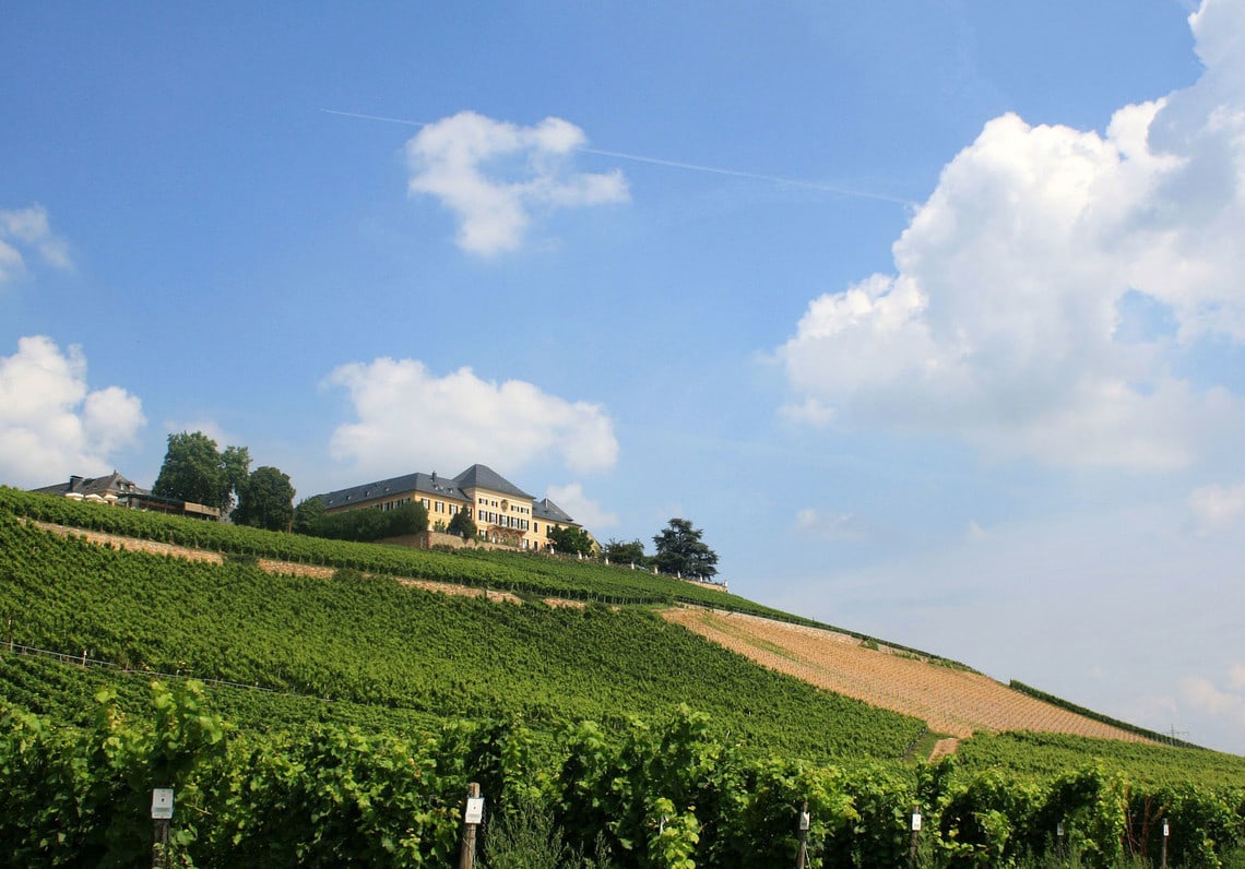 Deutsche Weine kaufen - Lobenbergs Gute Weine