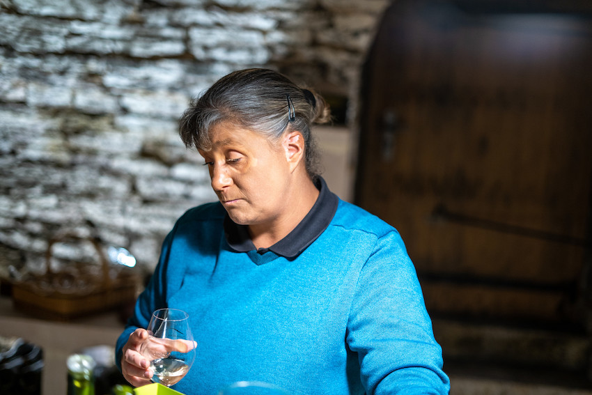 Bourgogne Millésime 2019 - Lobenbergs Gute Weine