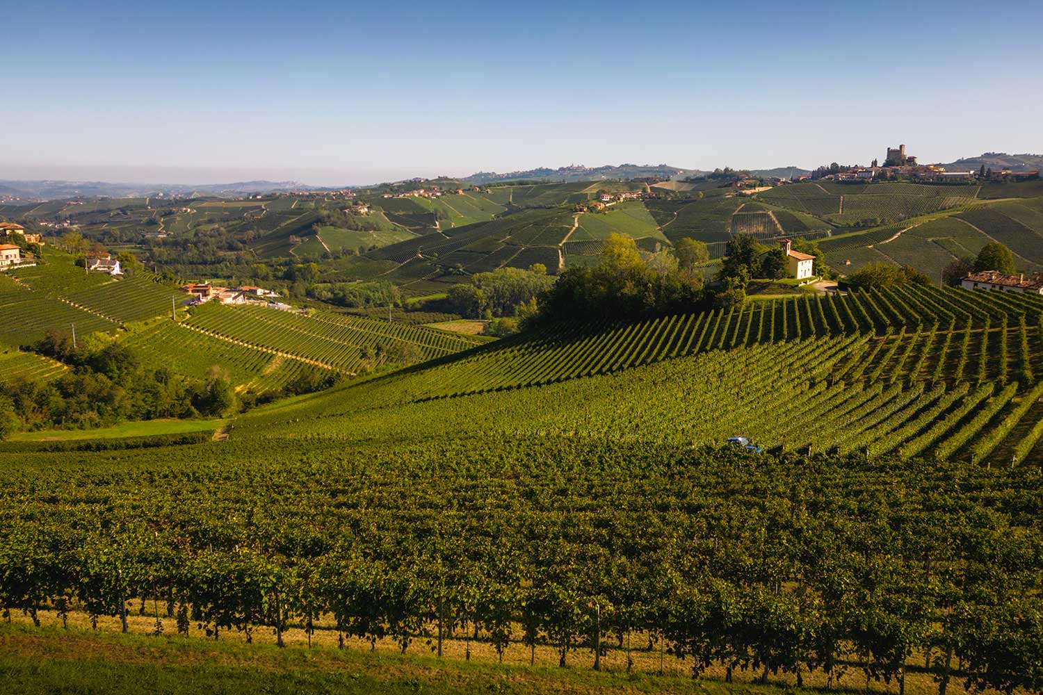 Fratelli Seghesio - Lobenbergs Gute Weine