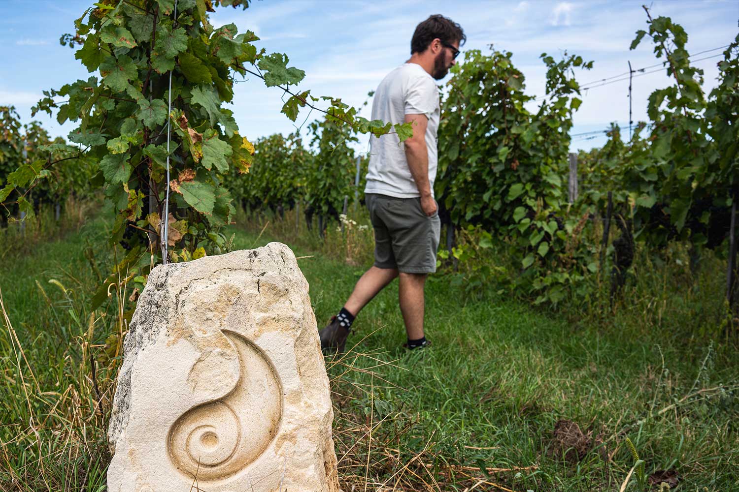 Weingut Weninger - Lobenbergs Gute Weine