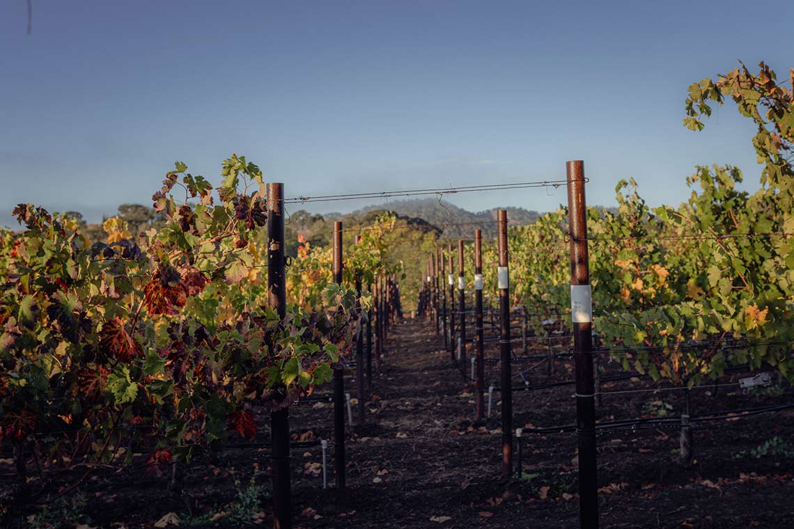 Hudson Vineyards - Lobenbergs Gute Weine