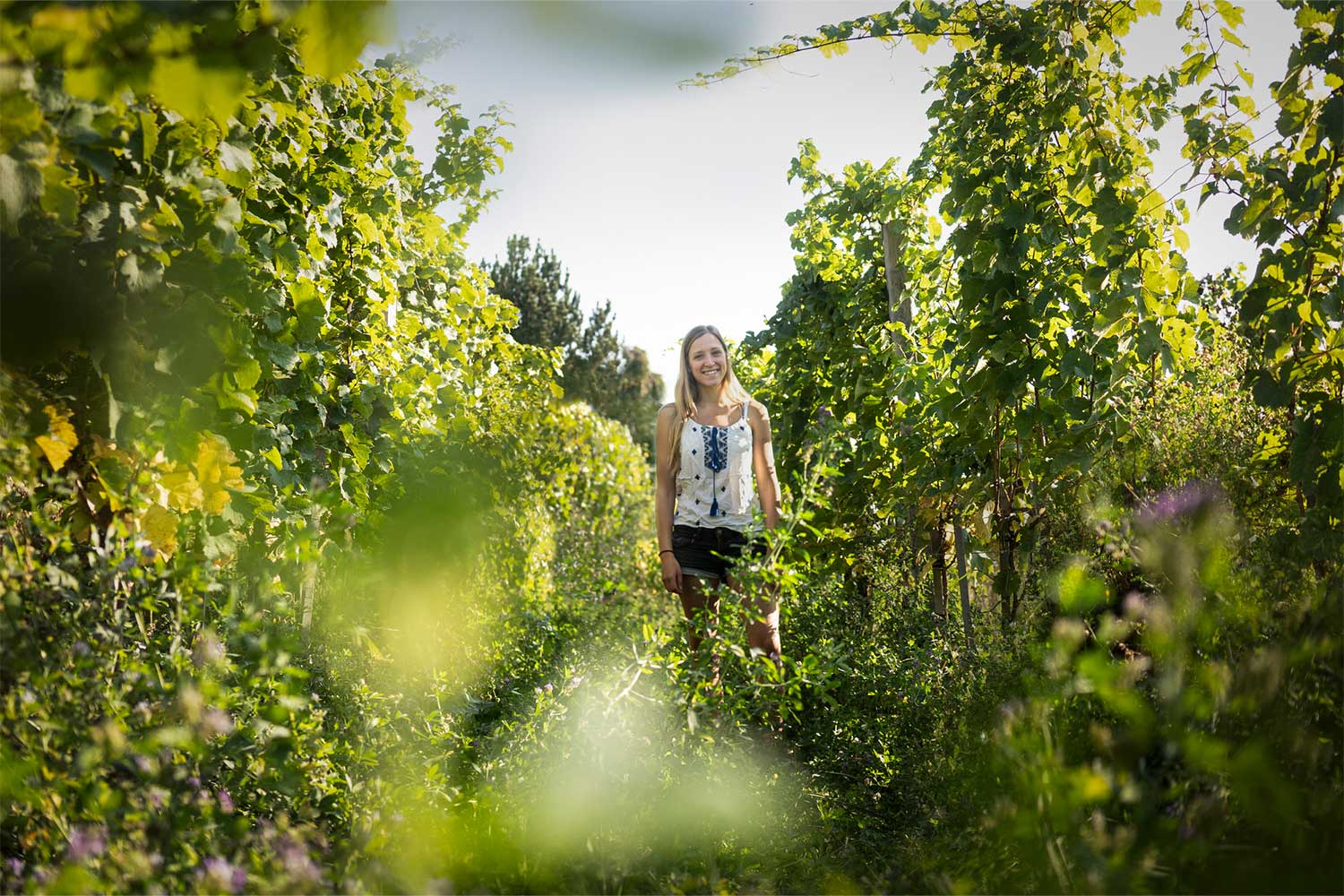Biodynamische Weine - Lobenbergs Gute Weine